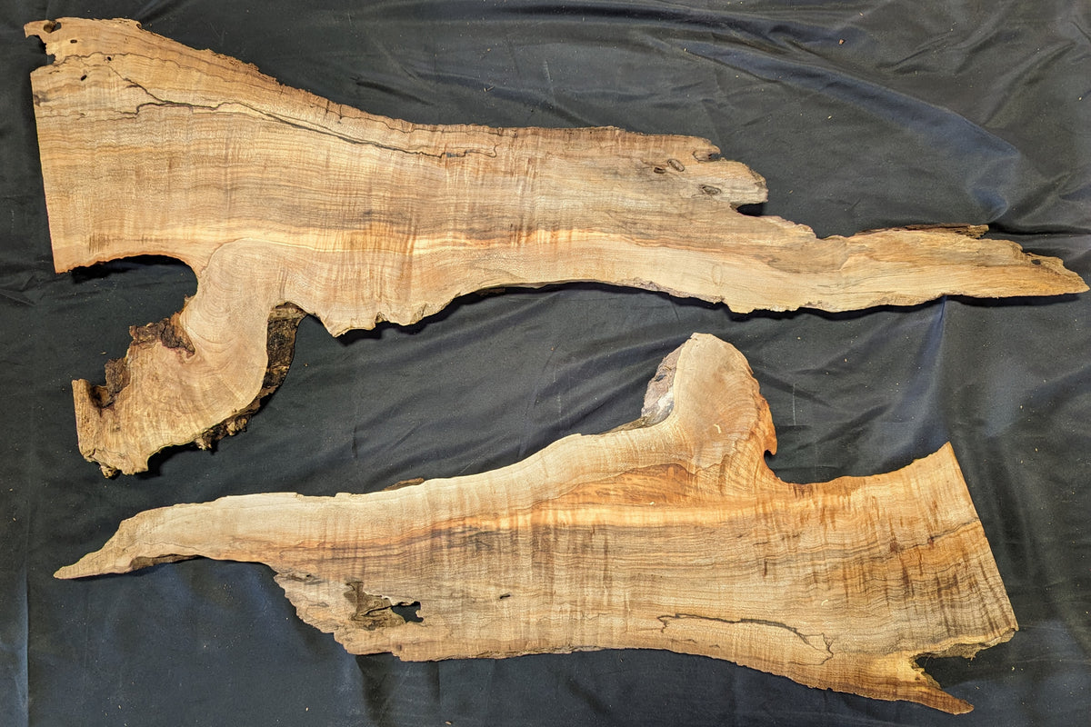 Maple Burl MA2150 – High West Wood Products