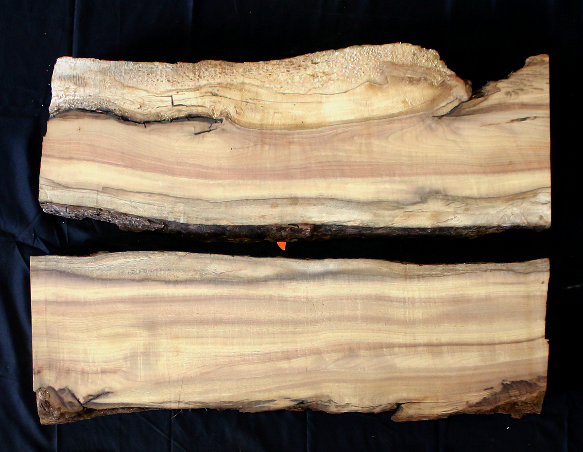 Myrtle Wood Natural Edge Slab (MY6127) – High West Wood Products