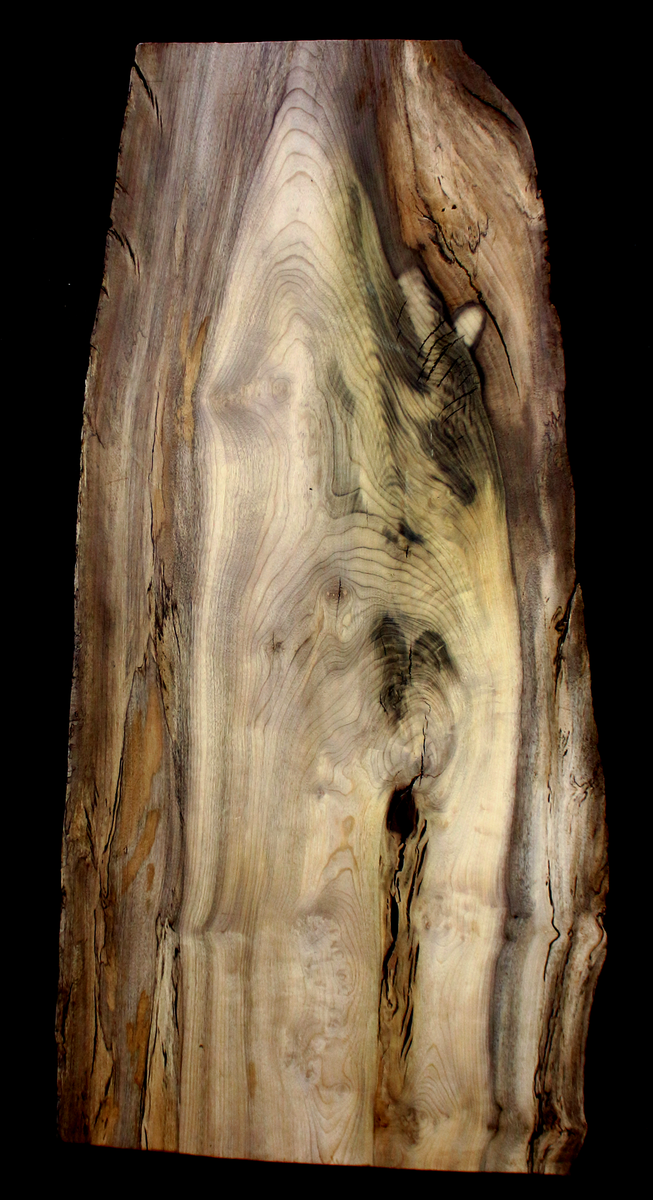 Myrtle Wood Natural Edge Slab (MY6129) – High West Wood Products