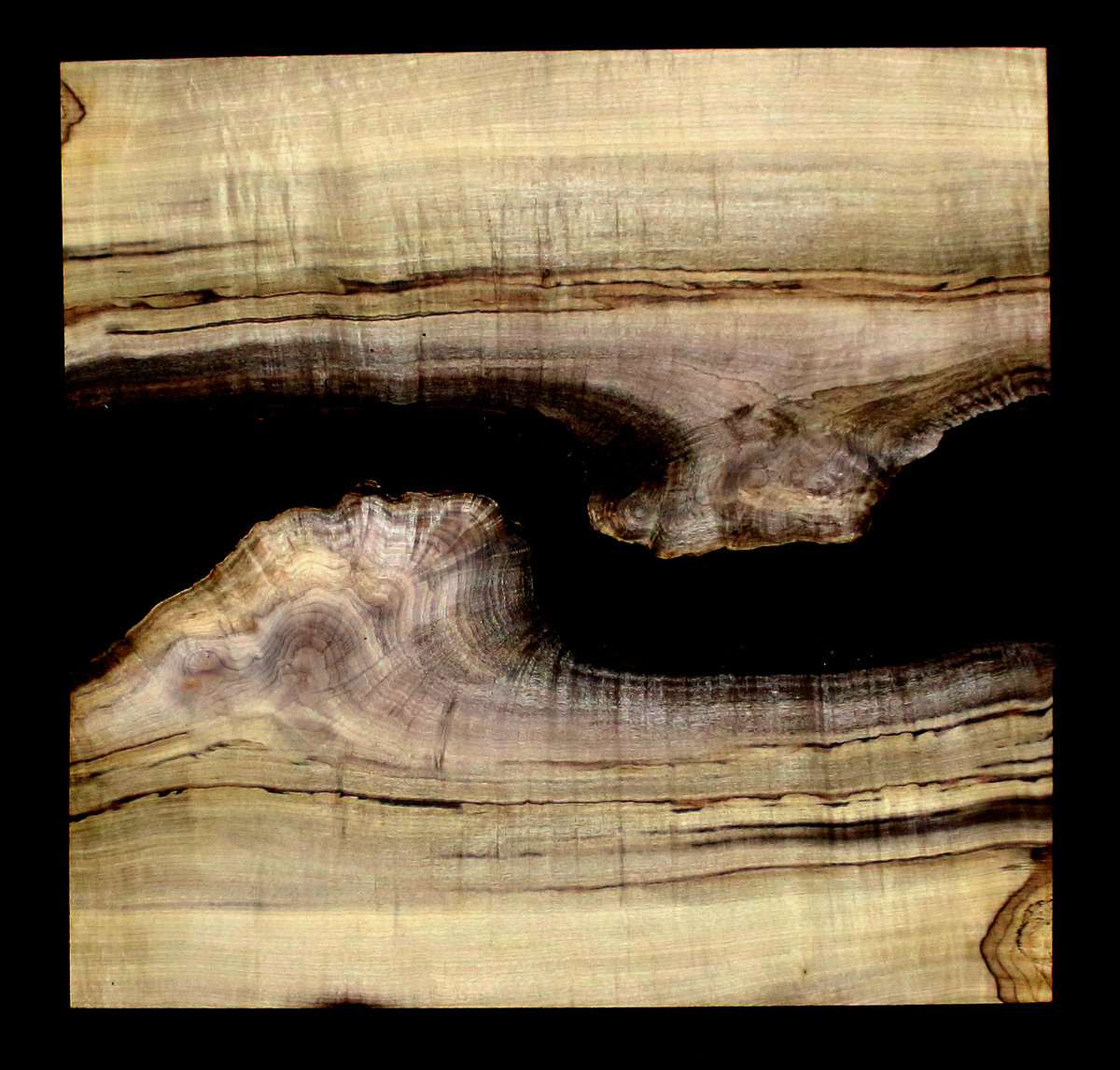 Myrtle Wood Natural Edge Slab (MY6150) – High West Wood Products