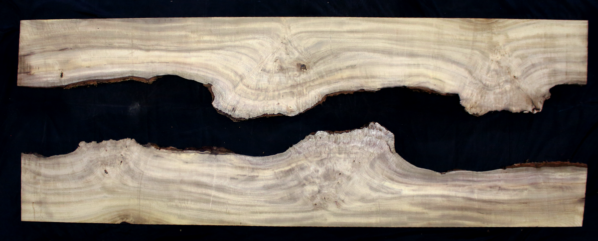 Myrtle Wood Natural Edge Slab (MY6154) – High West Wood Products